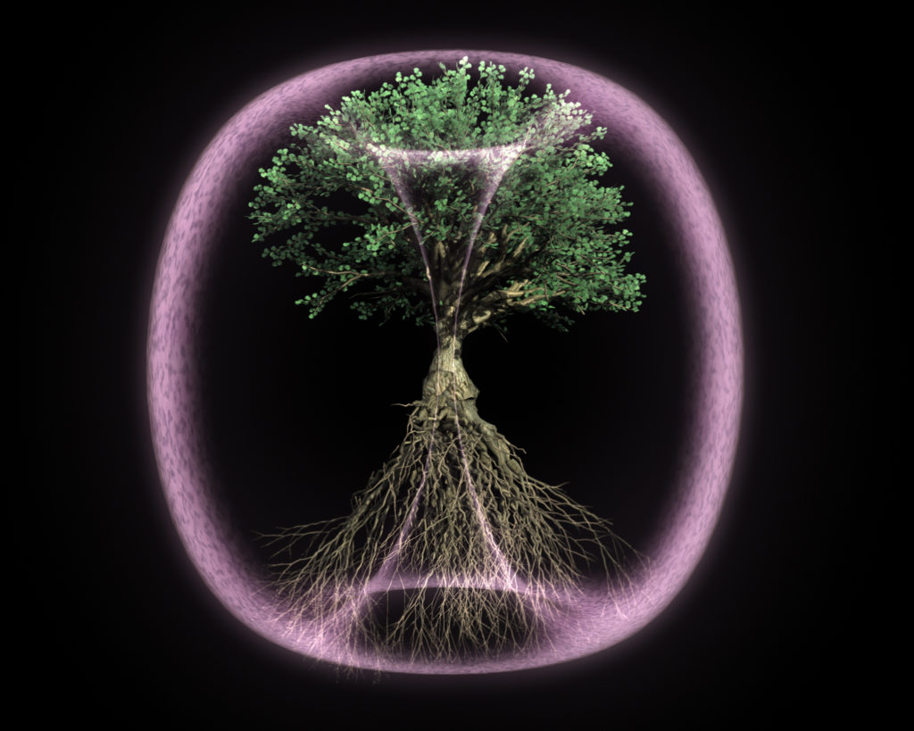 Ch 17 – It’s Toruses All The Way Down – Cosmometry.com